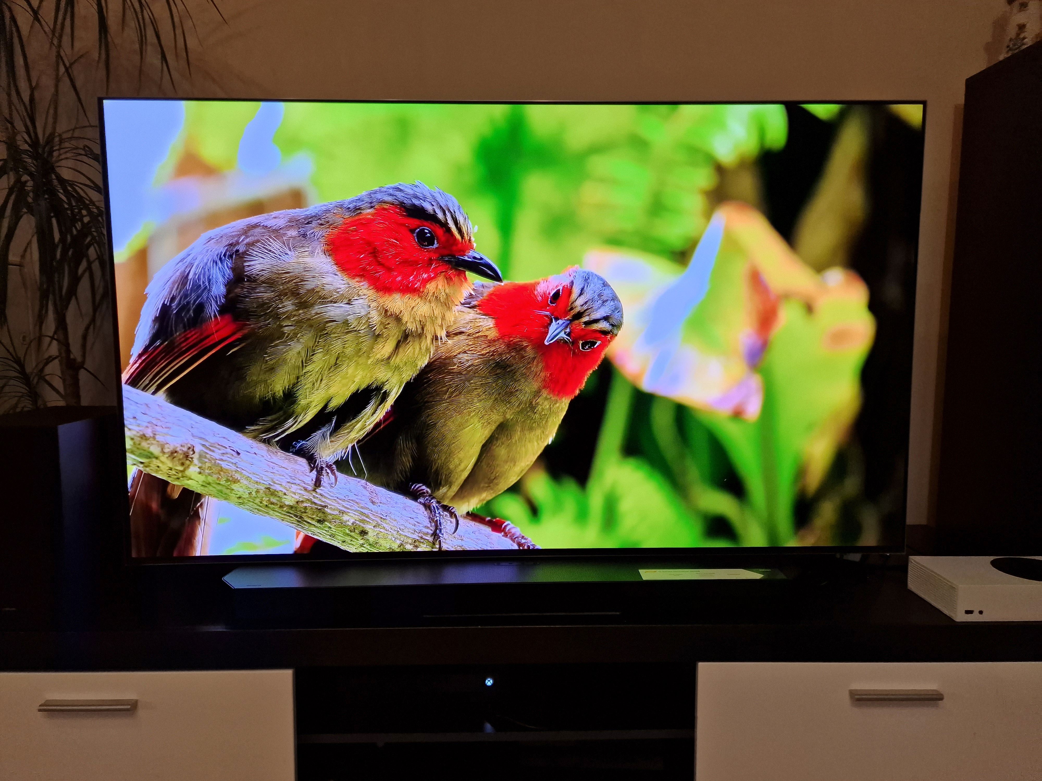 Samsung 65'' S95B QD-OLED - najlepší OLED TV? - hardvérový test ...